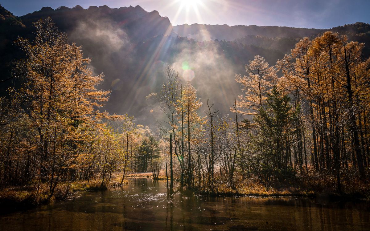 [2022]God's Light Pours Down | GANREF