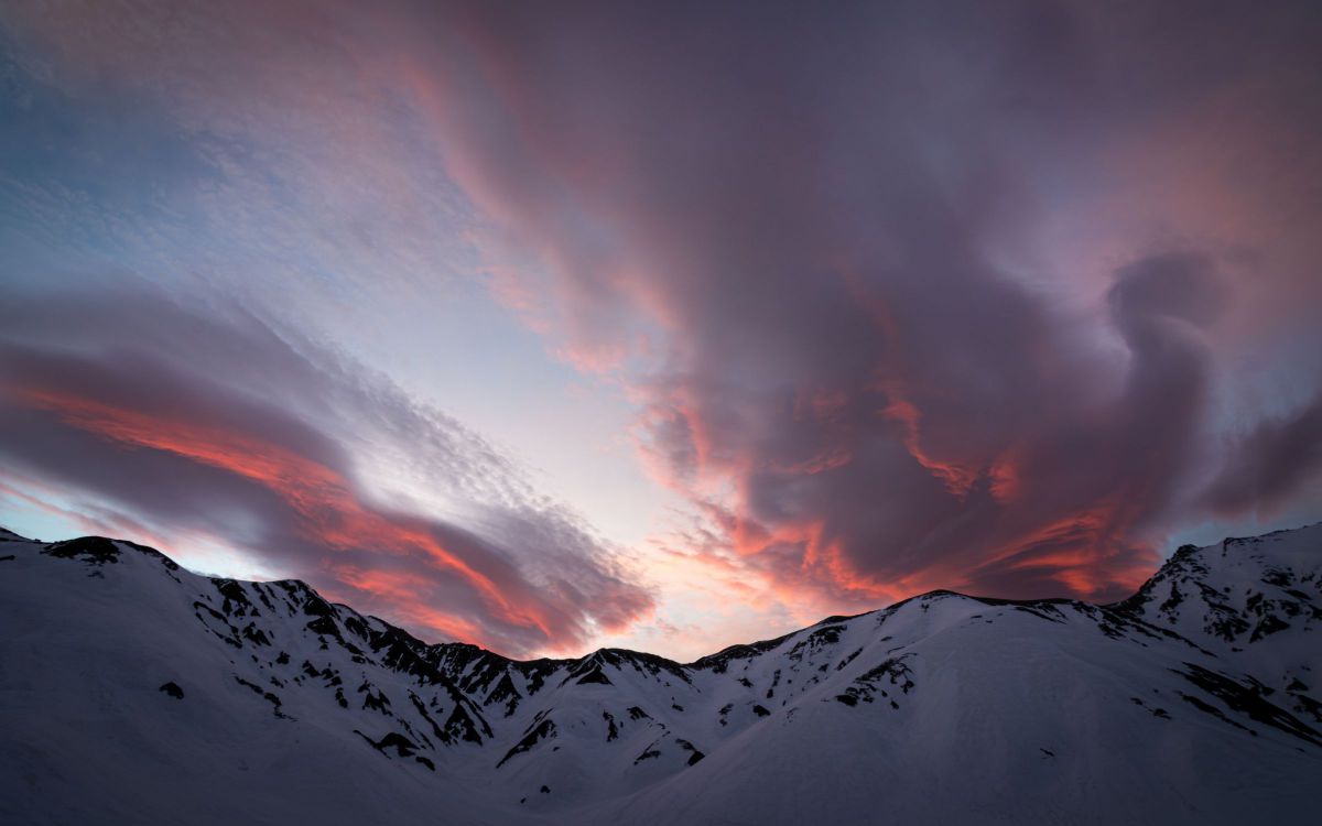 [2023] Roar Before Dawn | GANREF