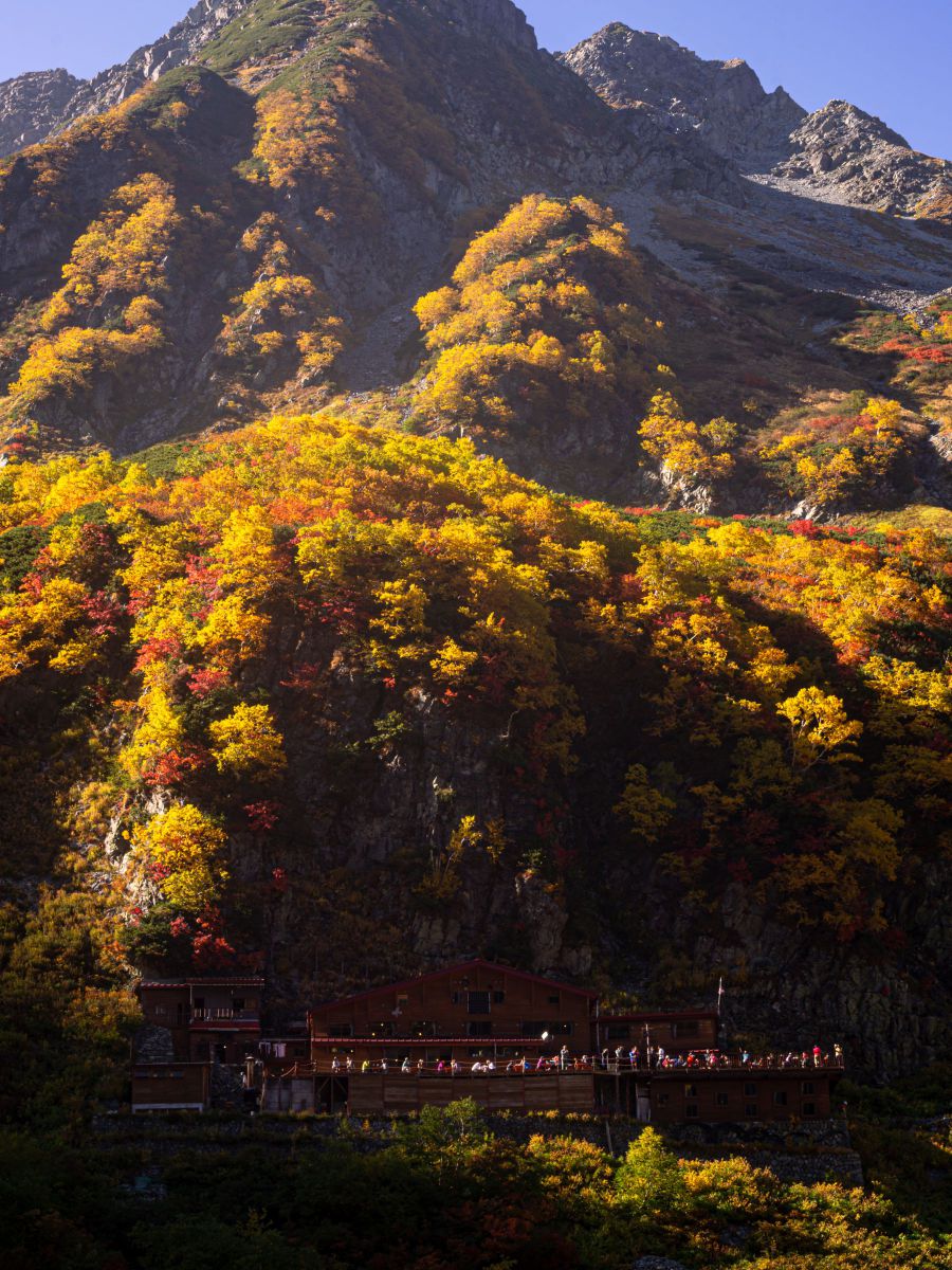 [2023]In The Setting Sun | GANREF