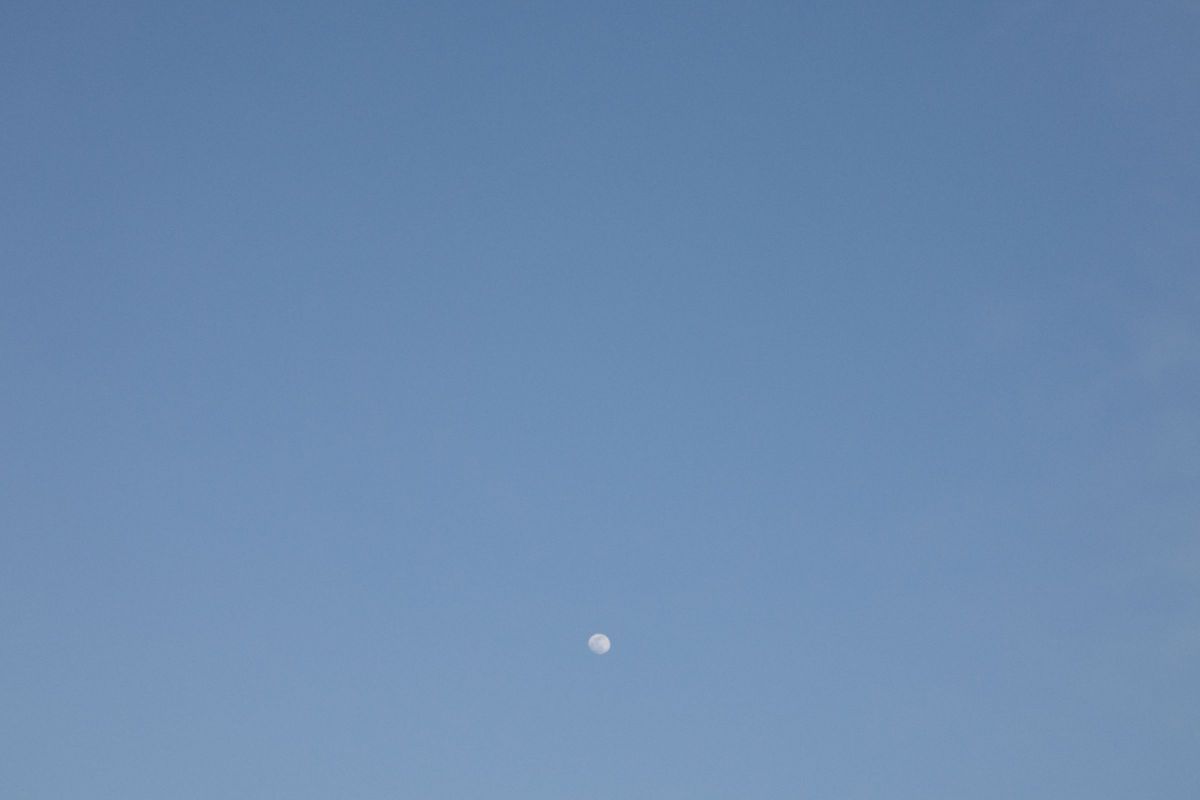 Once in a blue moon | GANREF