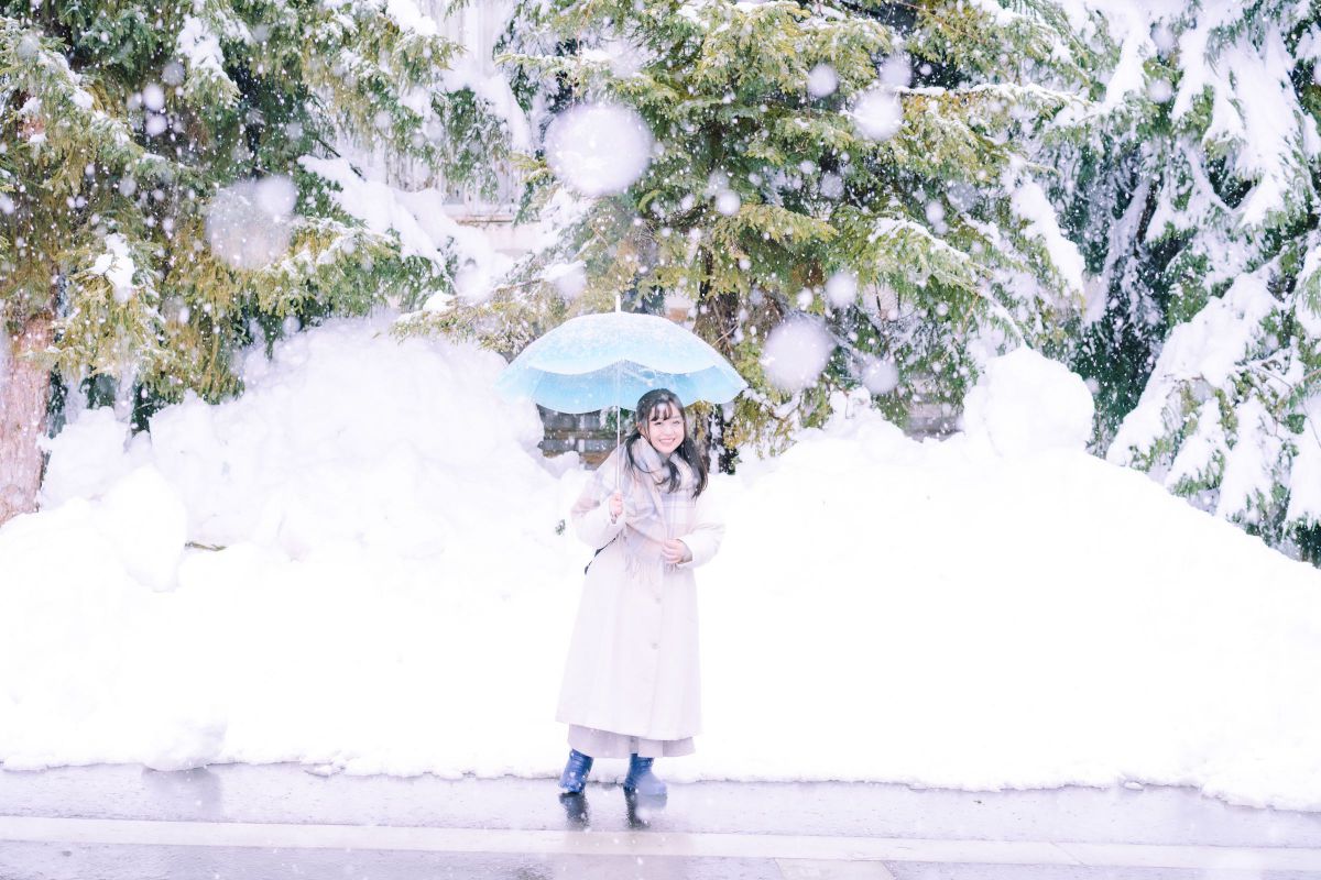 Snow Fantasia | GANREF