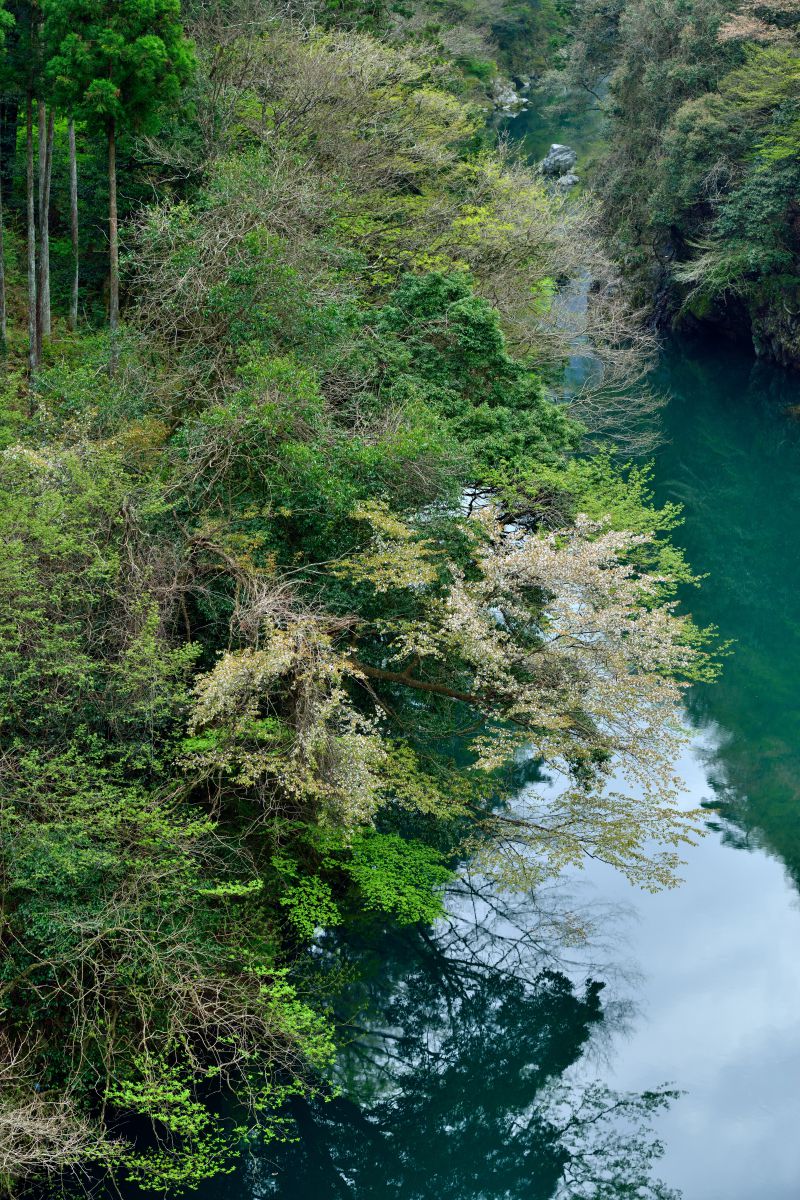 D800E My first impression | GANREF