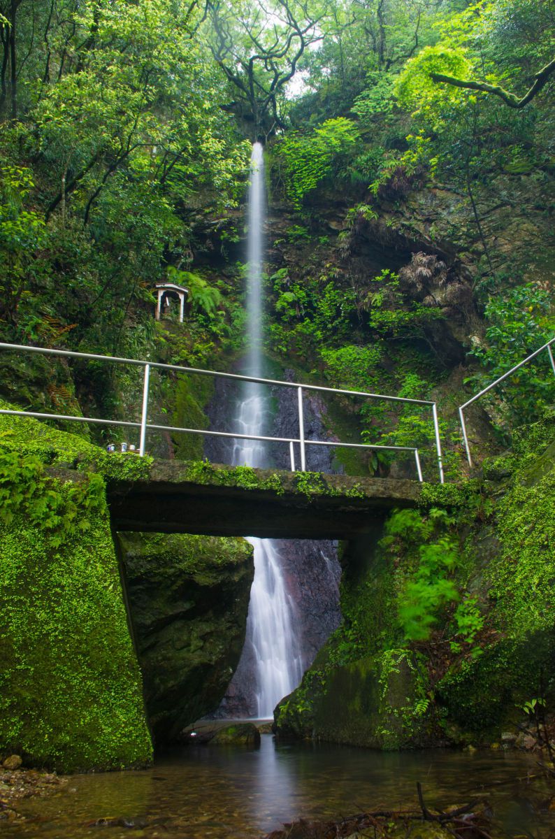 神々しい世界へ | GANREF