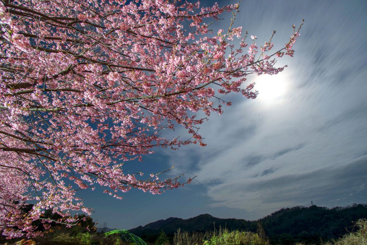 満月の夜に | GANREF