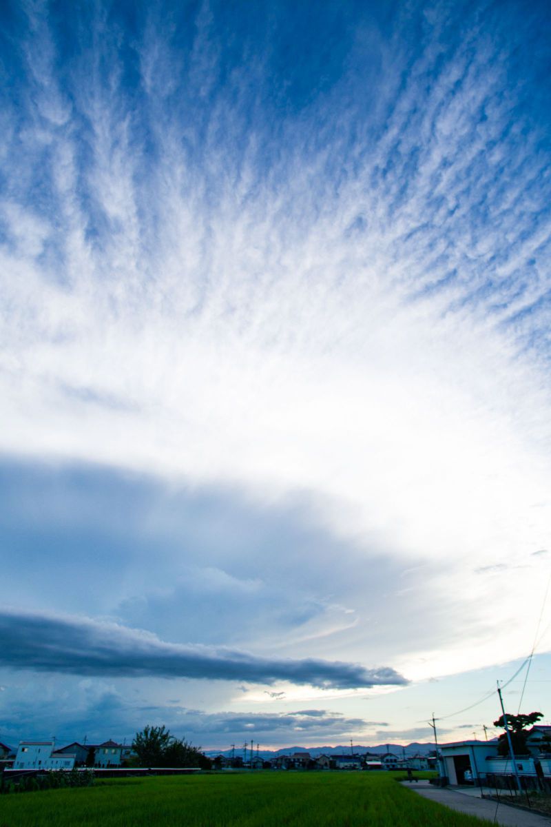 迫り来る！ | GANREF