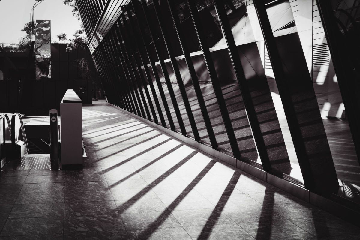 Shadows ＆ Reflections | GANREF