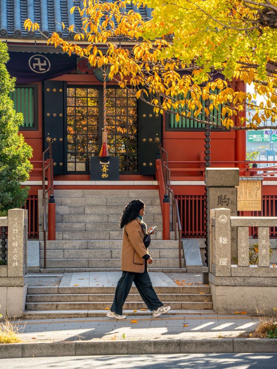 Golden Leaves, Silent Steps | GANREF