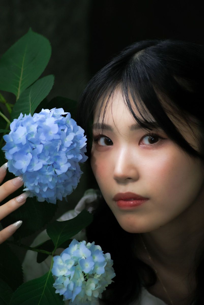 青をすくう | GANREF