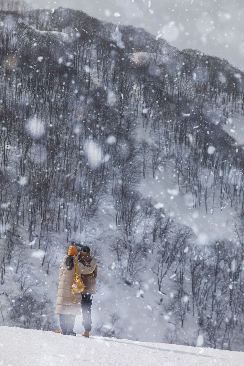 First Love 初恋 | GANREF