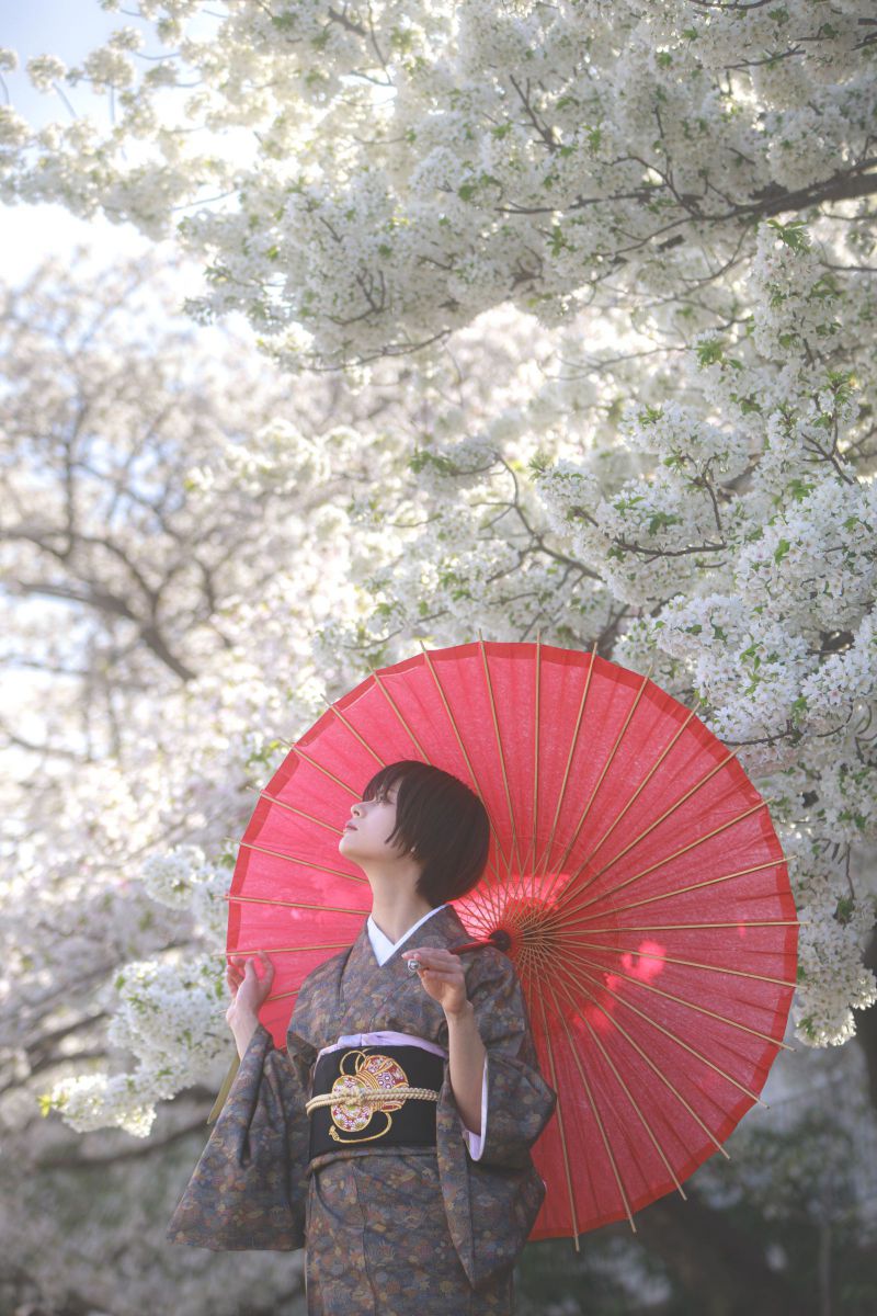 日本の春 2024 | GANREF