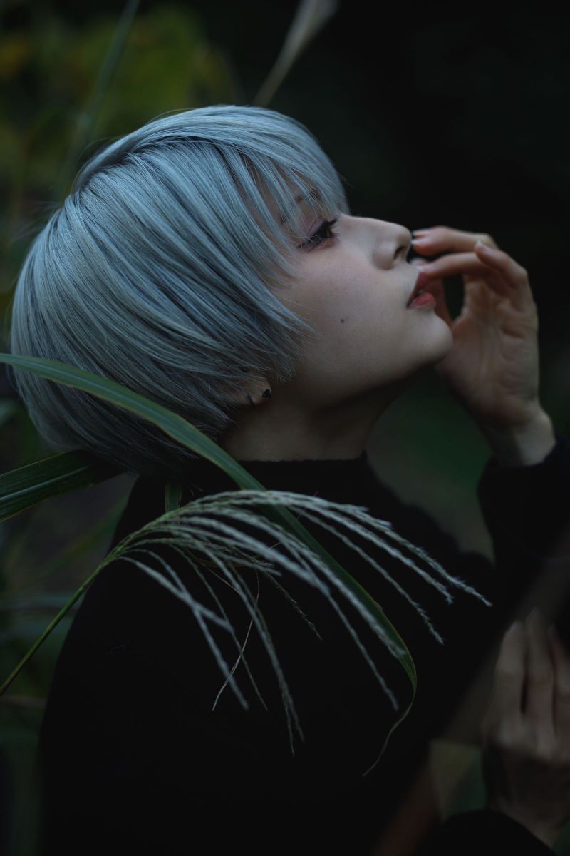 Silver Grass | GANREF