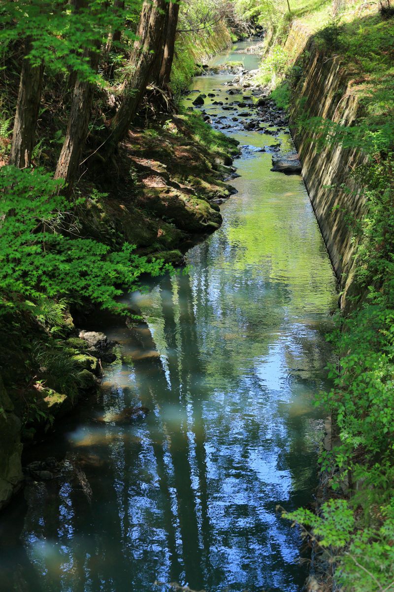 深緑の候 | GANREF