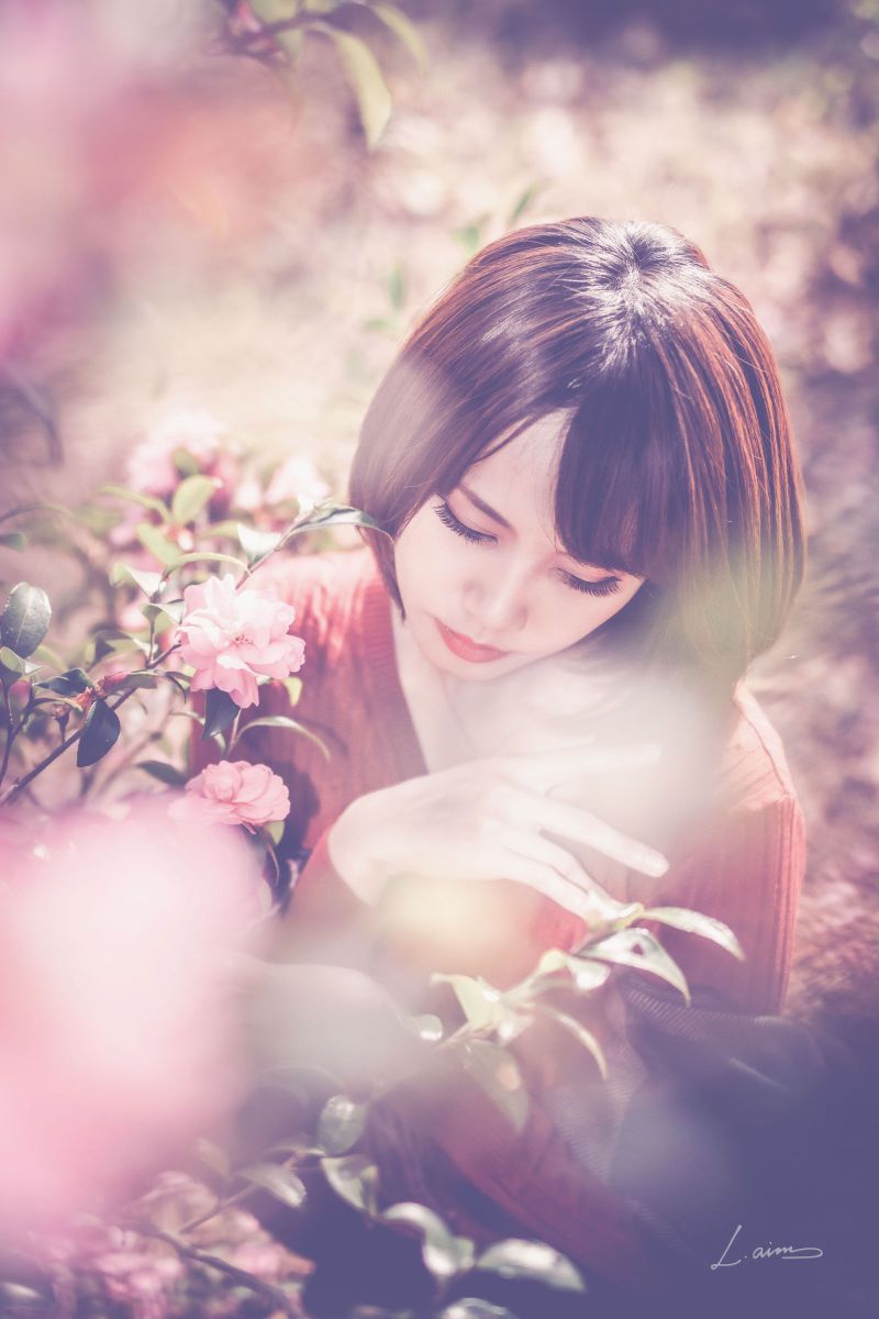 Entouré par la lumière de l'automne | GANREF