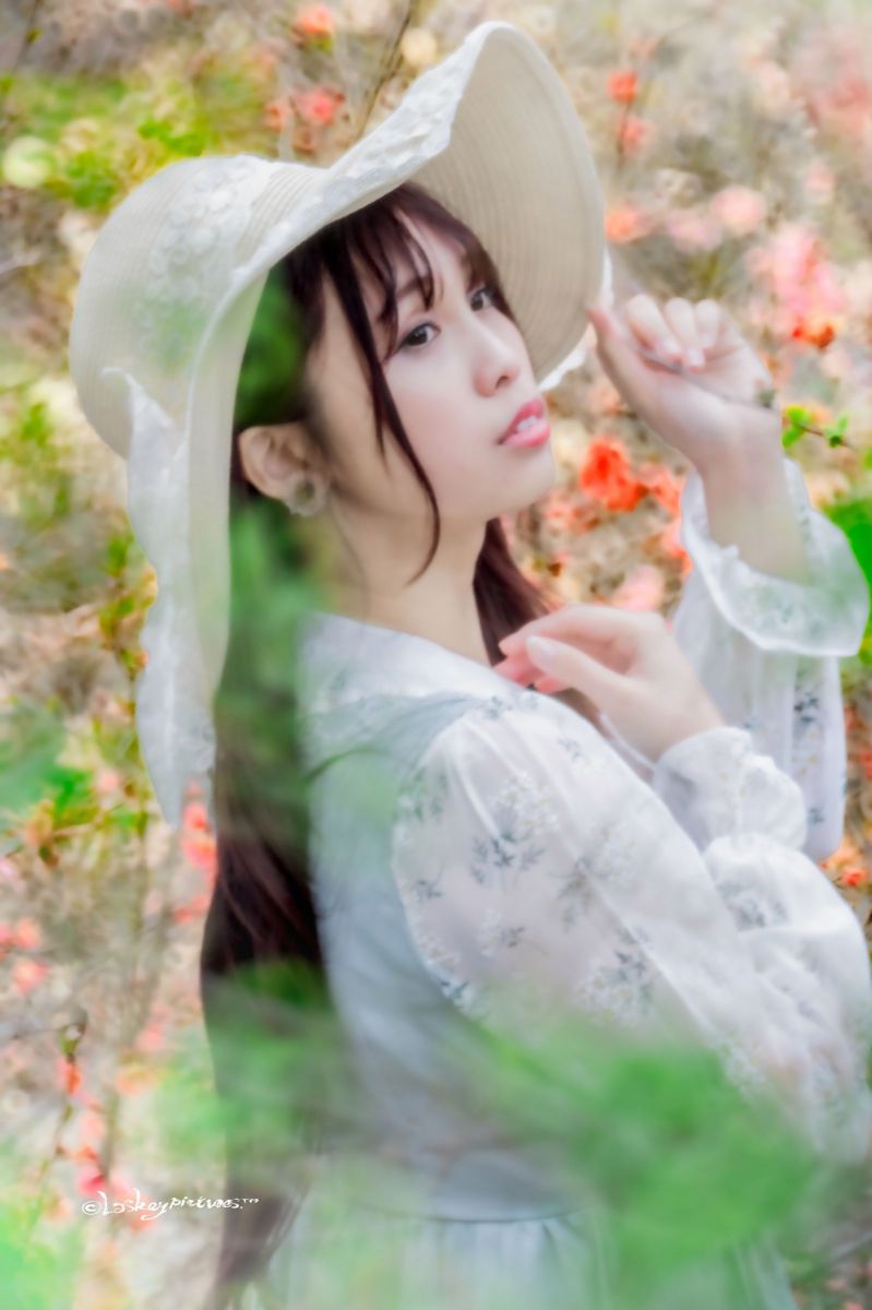 Impressionism Tone | GANREF