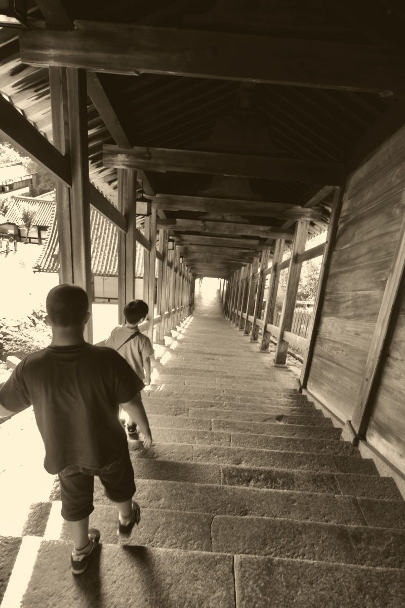 兄弟（2023年9月） | GANREF