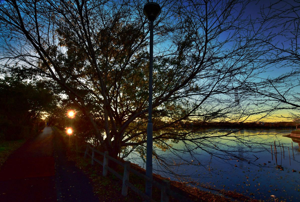 ダブルダイヤモンド | GANREF