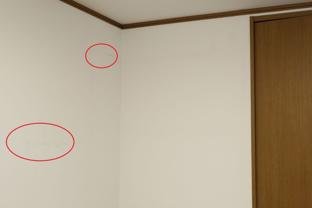 注目製品レビュー ～エプソン EP-10VA編～：第33回：壁に展示編 | GANREF