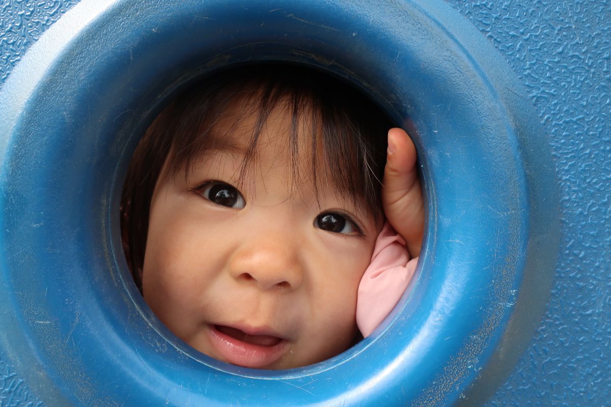 キヤノン PowerShot G9 X Mark II レビュー：第25回 くるくる編 | GANREF