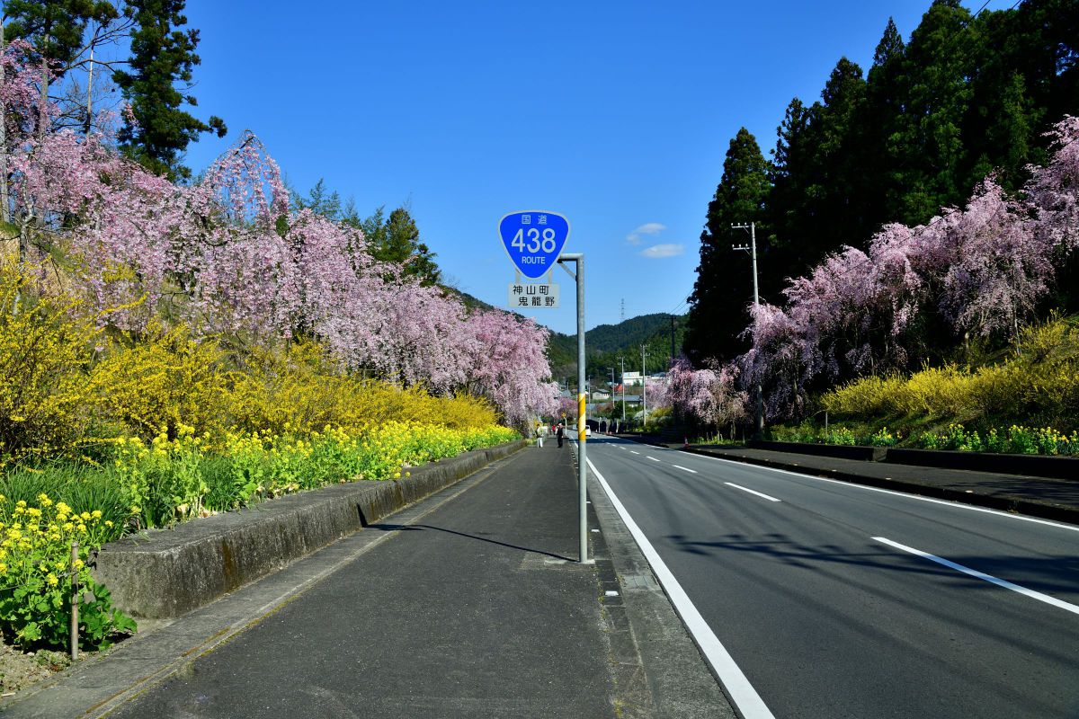 ルート438 | GANREF