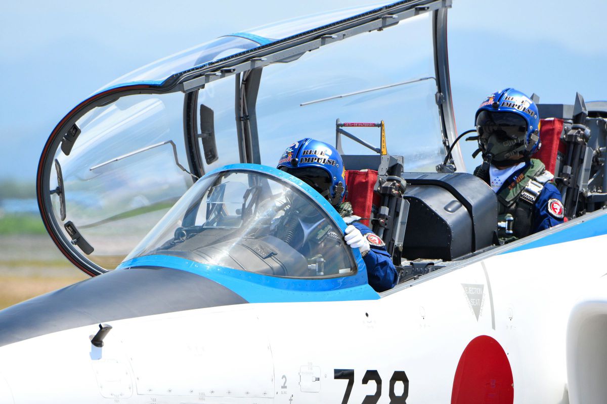 Dolphin Rider | GANREF