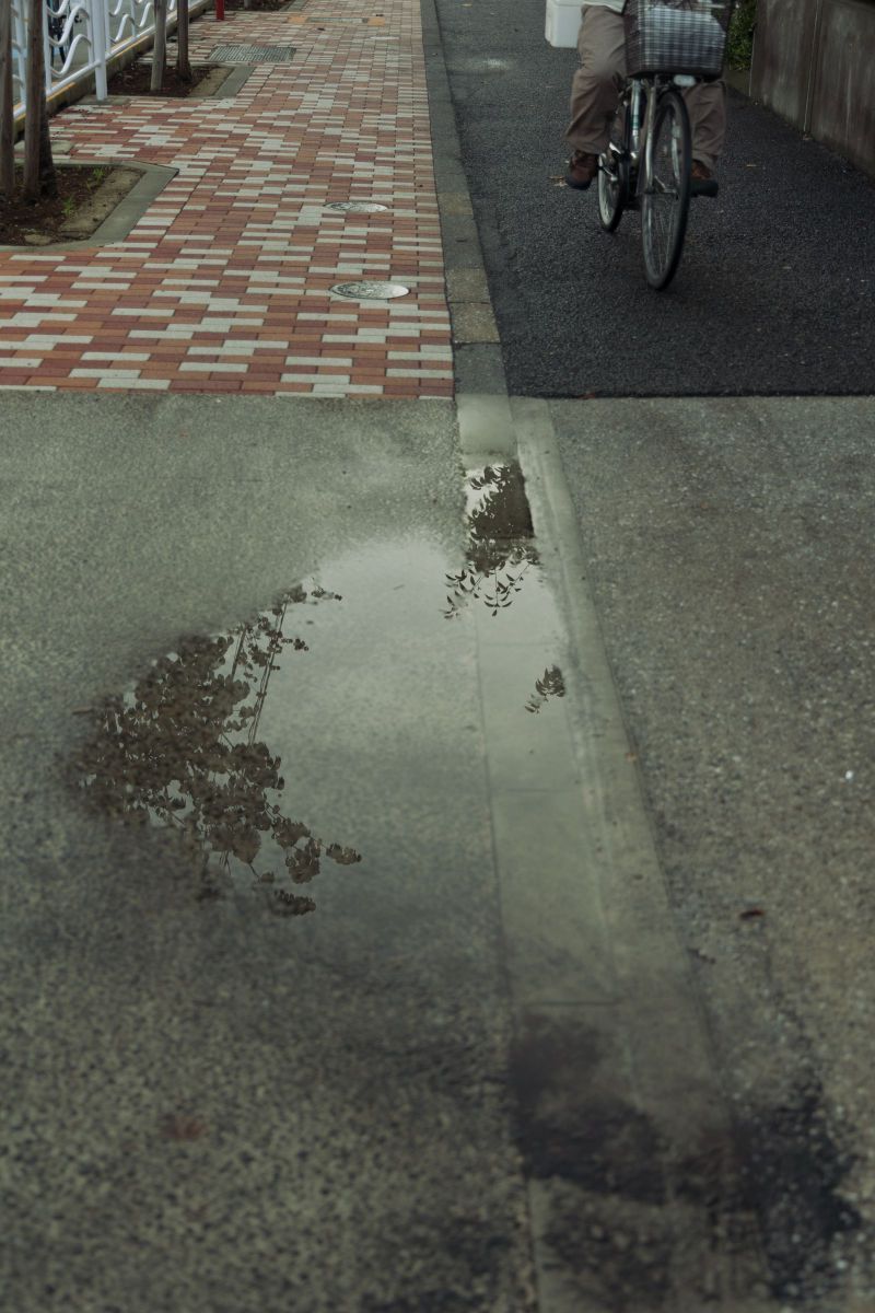 【52 Weeks Project】雨上がり 20/52 | GANREF