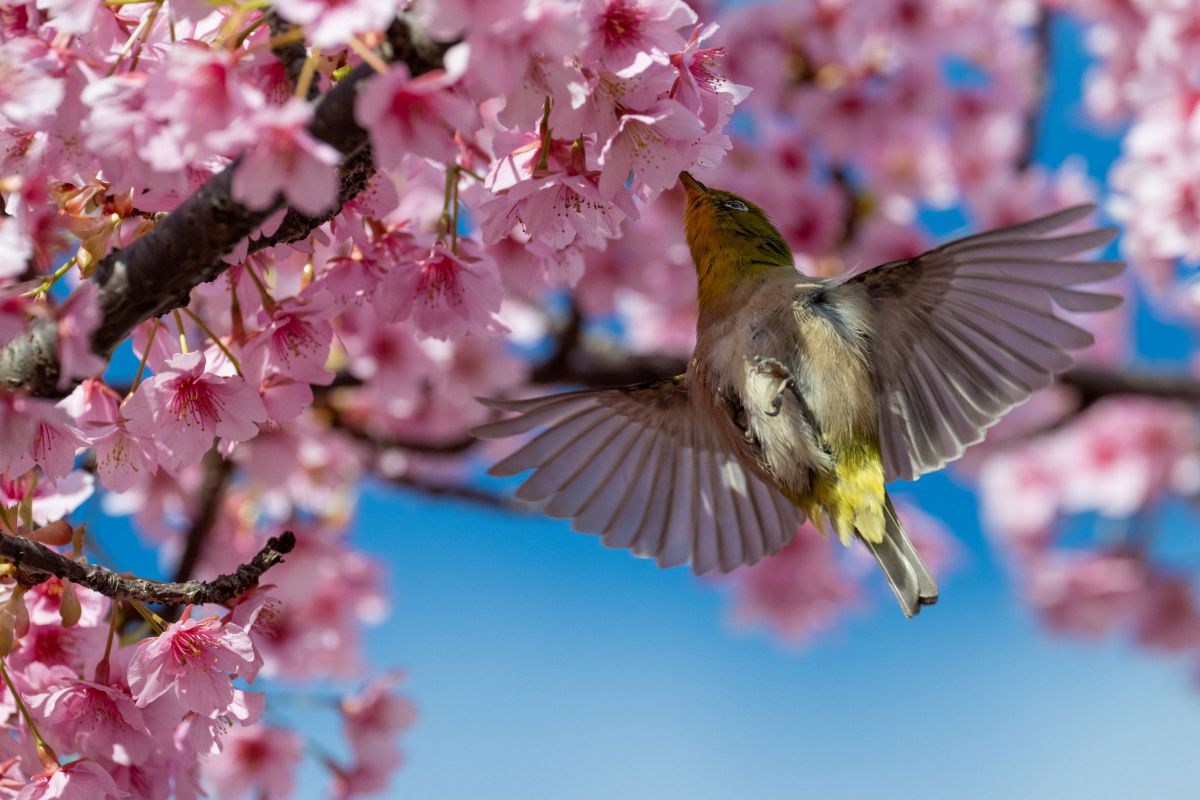 [ニコン Z8＆大三元レンズ]14mmってどんな感じかな？の試し撮り | GANREF