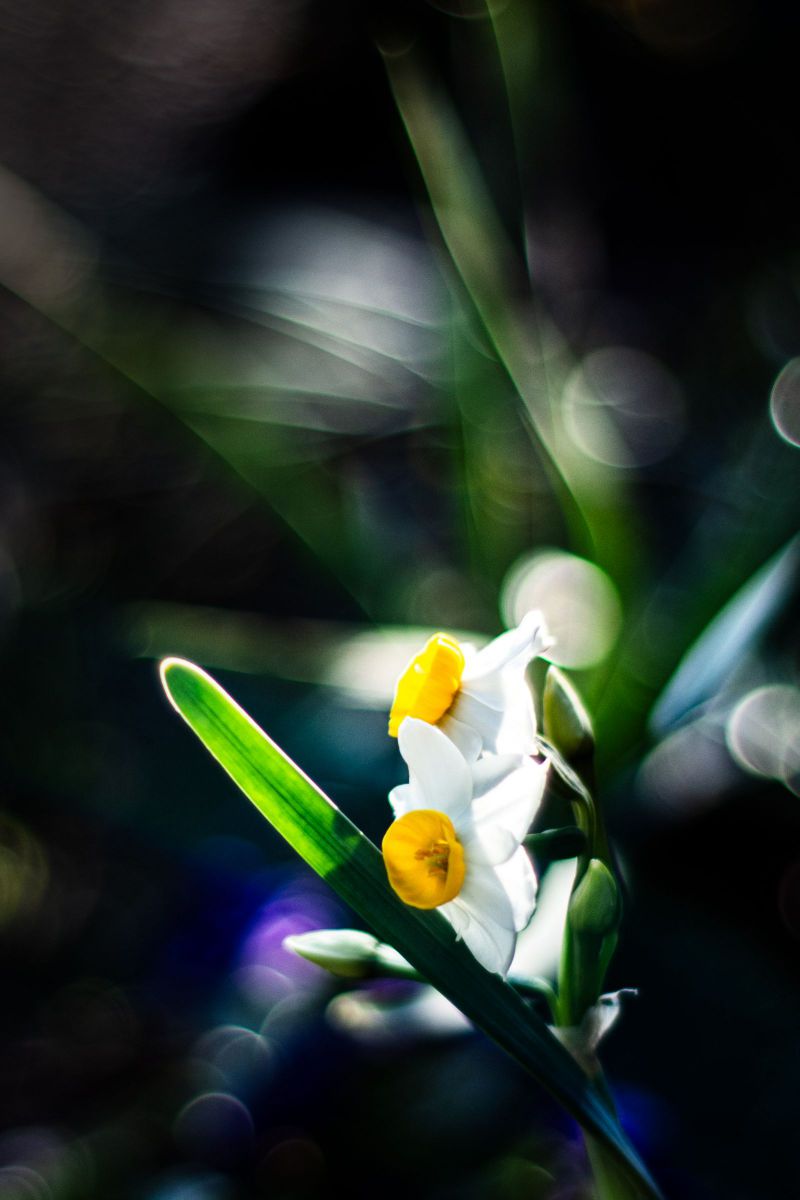 For a new beginning | GANREF