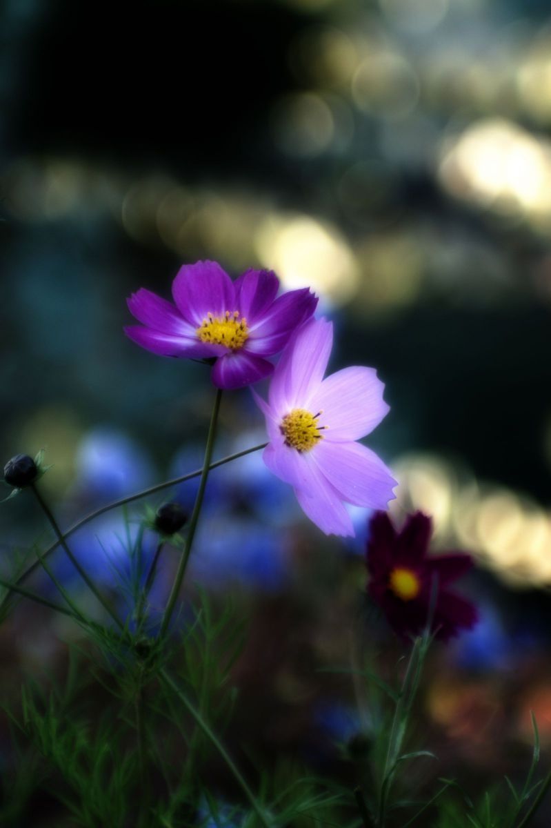 Close Together | GANREF