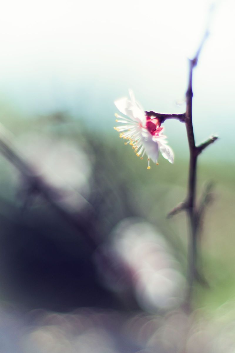 What you used to be | GANREF