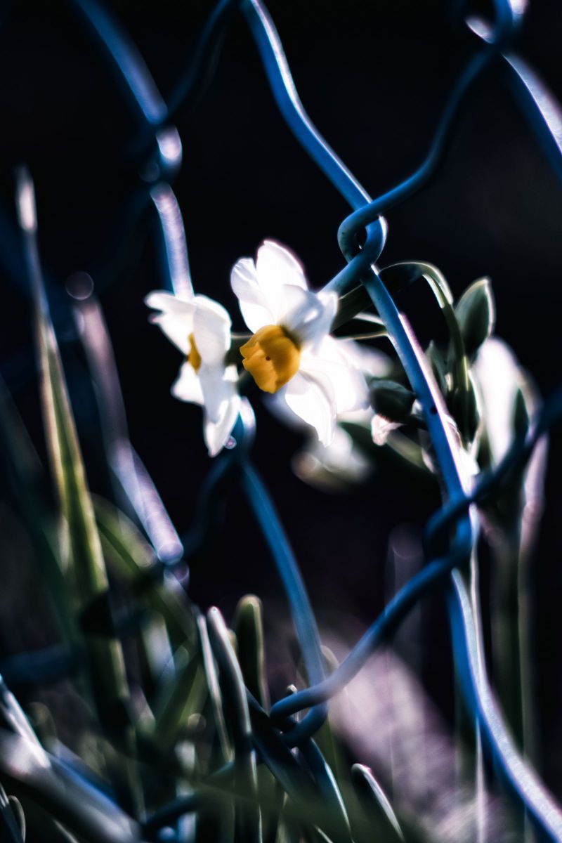 Be assertive | GANREF