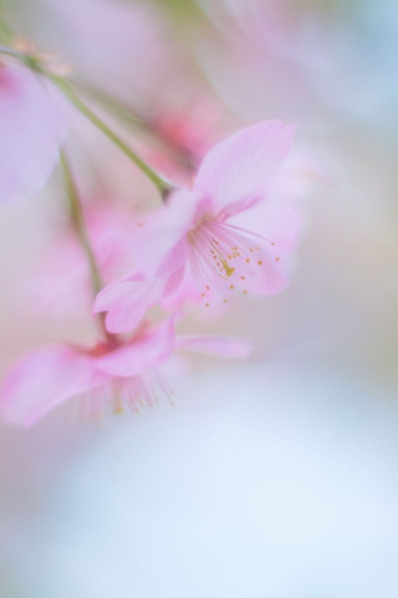 Best of luck on your new beginnings | GANREF