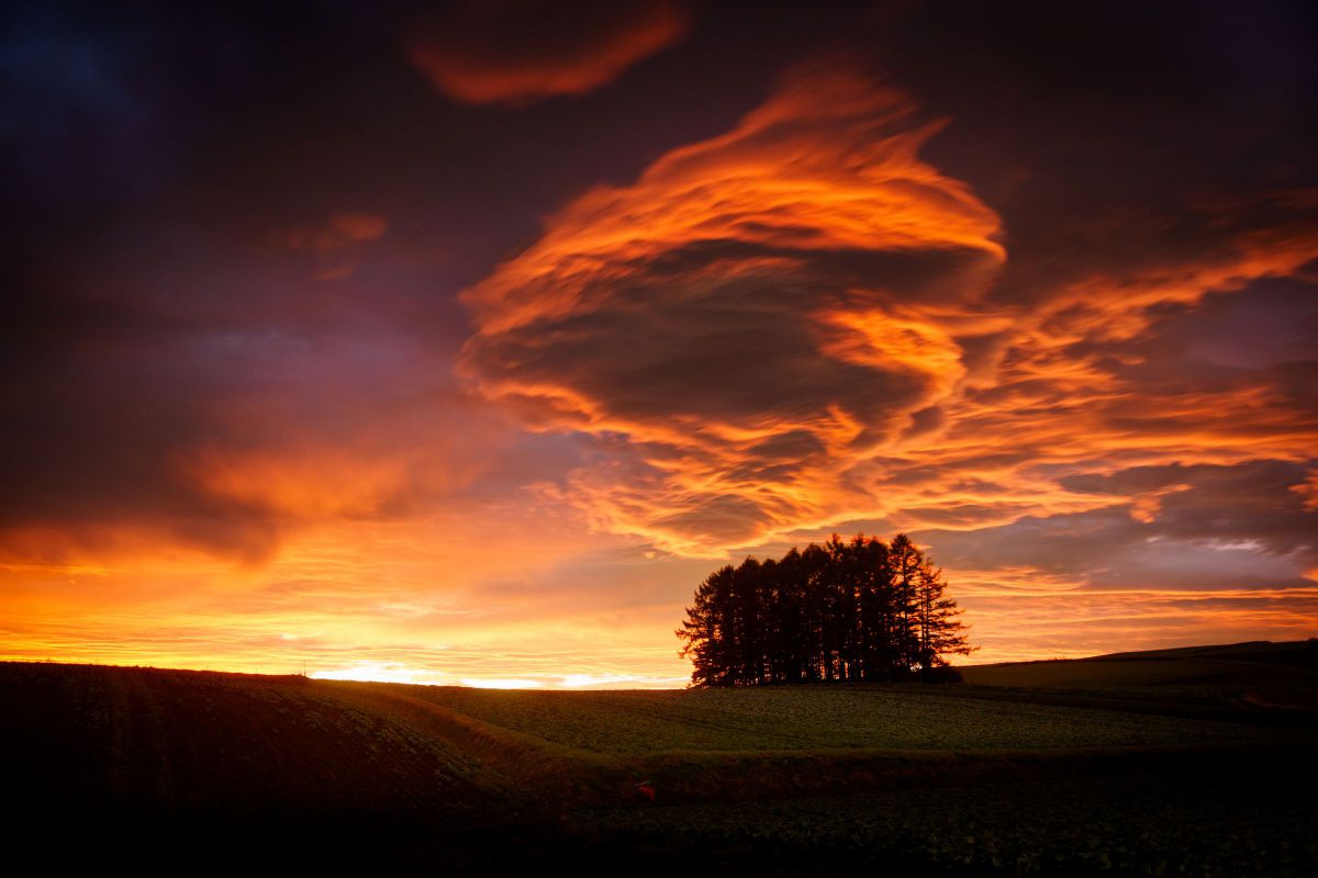 俊哉の丘で | GANREF