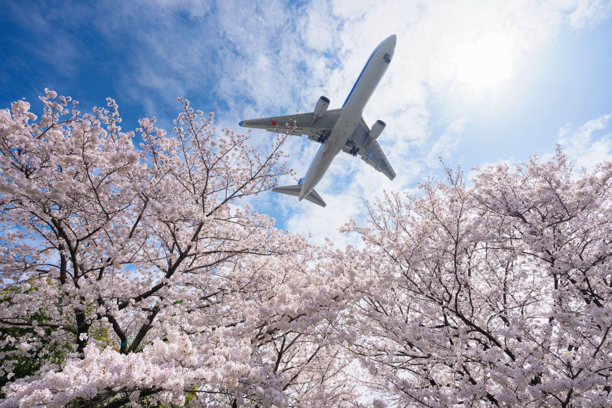 IMG240407-00668-2.jpg | GANREF