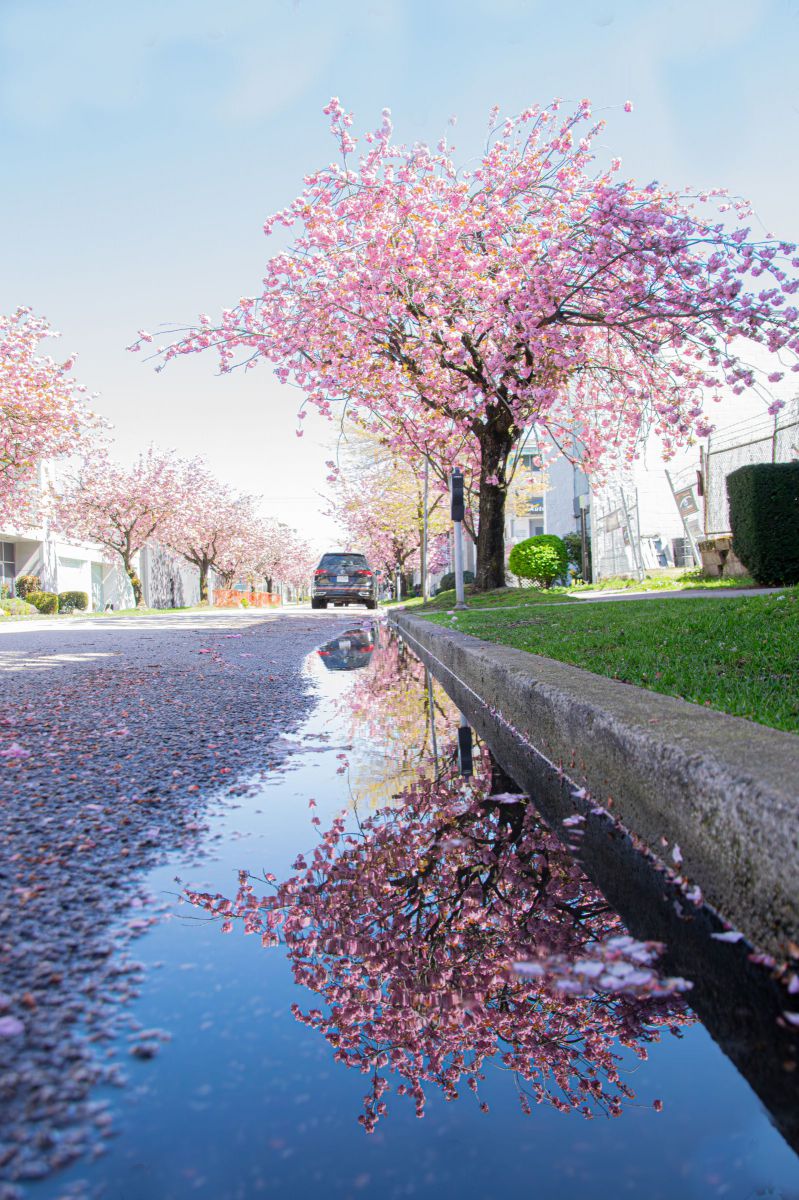 小さな小さな川 | GANREF