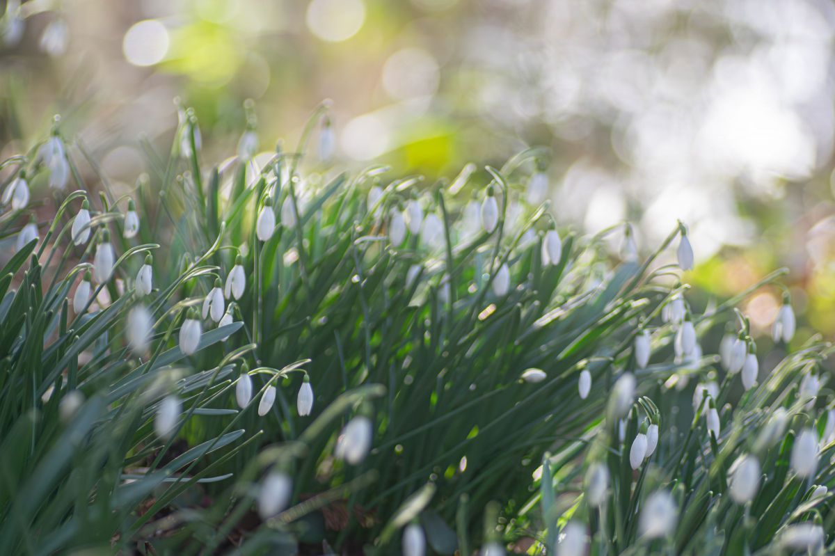 久しぶりのデート | GANREF