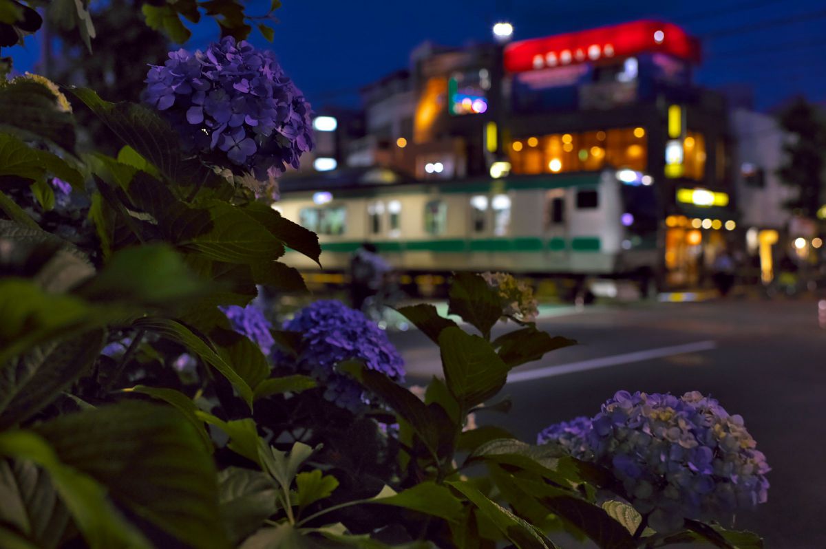 十条道踏切 | GANREF