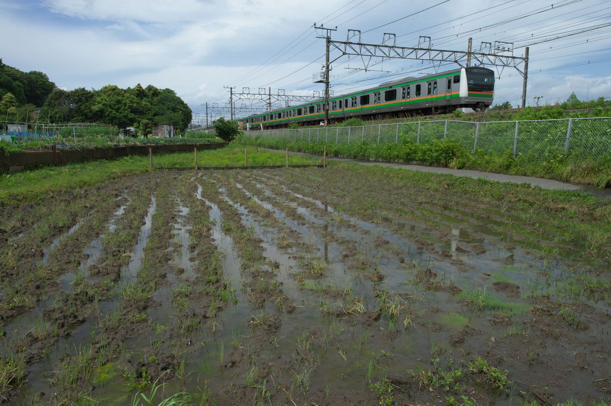 村岡新駅 予定地 | GANREF