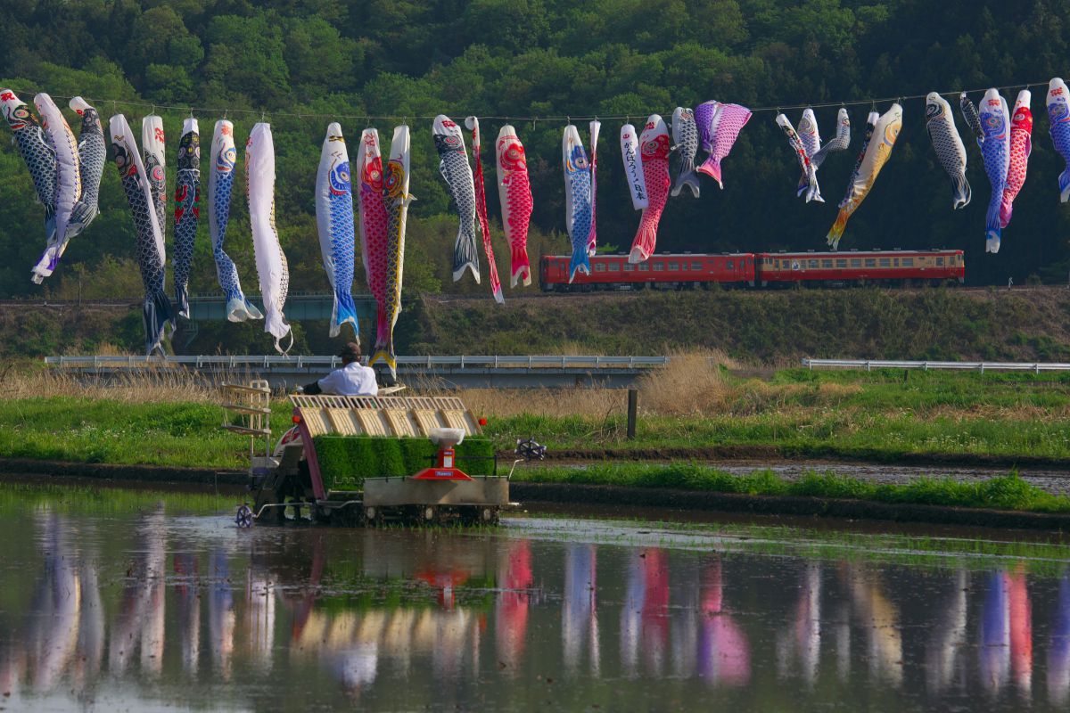 ラッキーな立夏 | GANREF