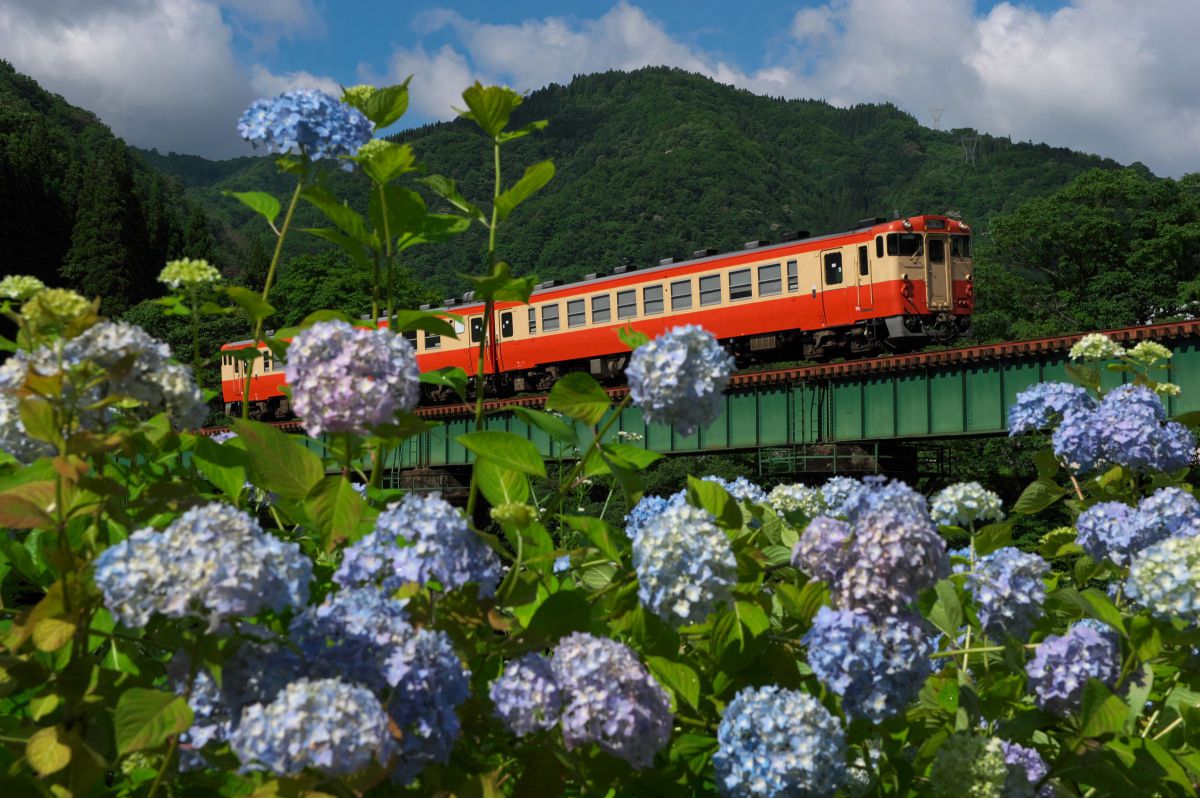 梅雨晴れ | GANREF