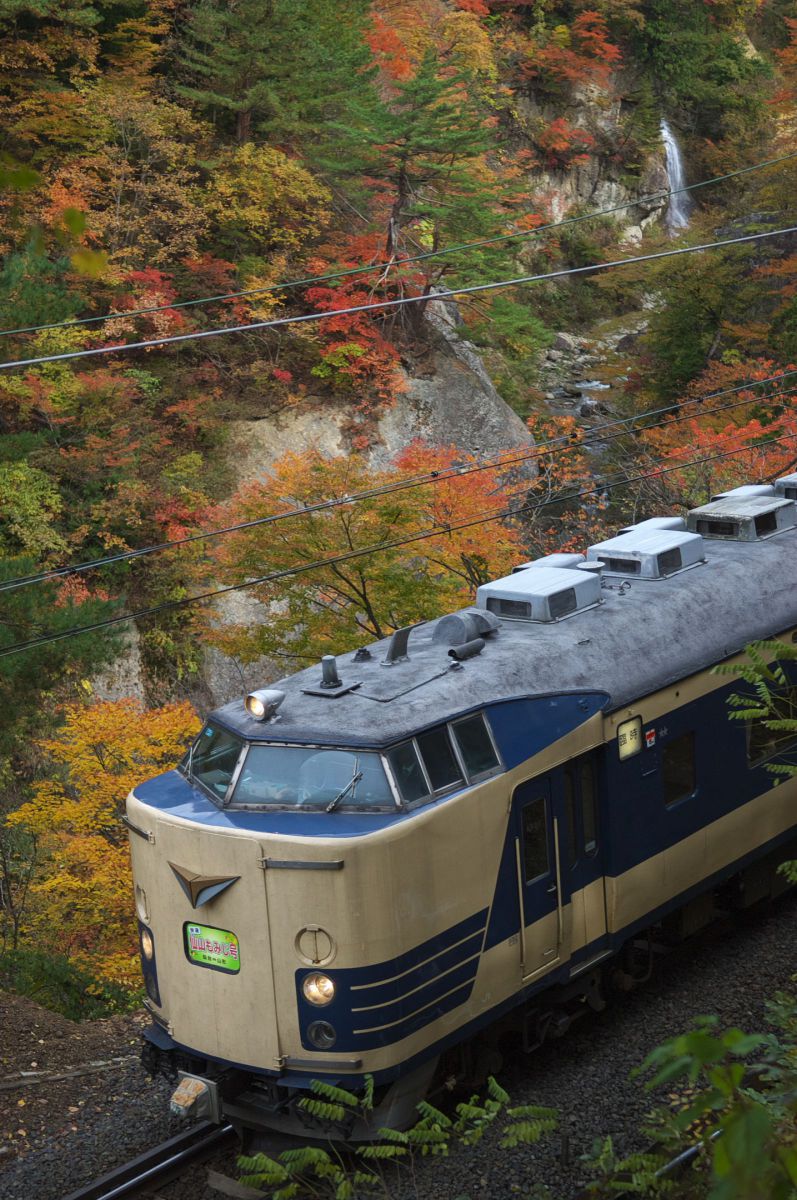 仙山もみじ | GANREF