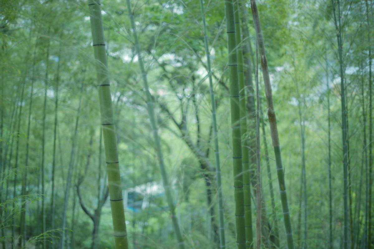 こんなところに根岸線 | GANREF