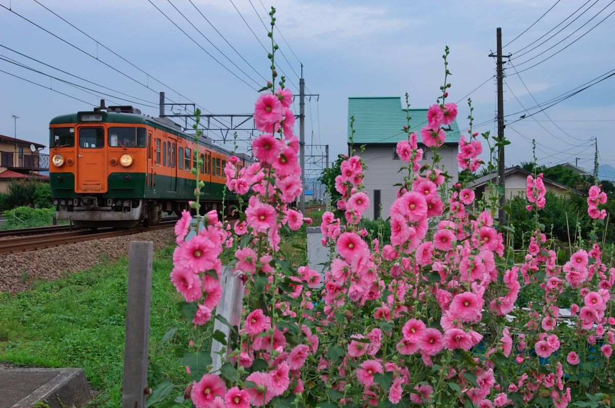 梅雨半ば | GANREF