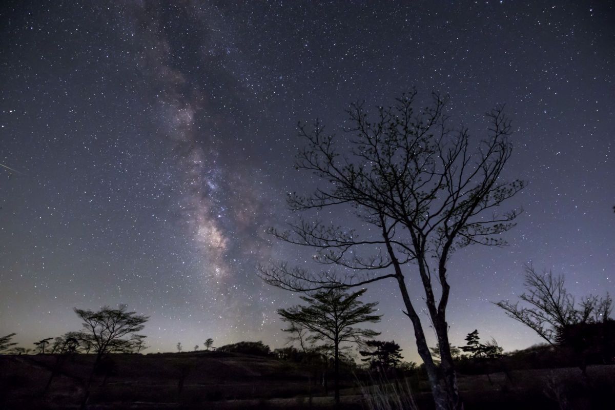 夏星の宙 | GANREF