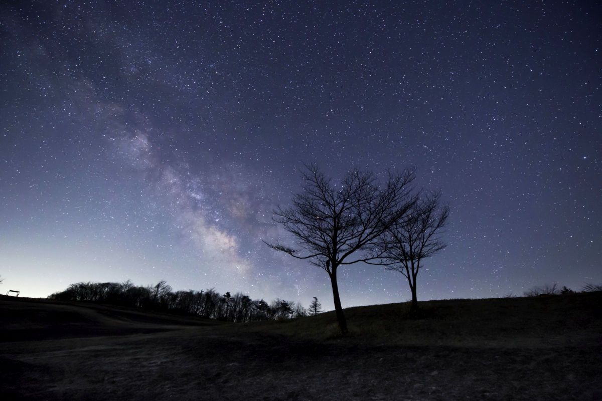 夏星の宙 | GANREF