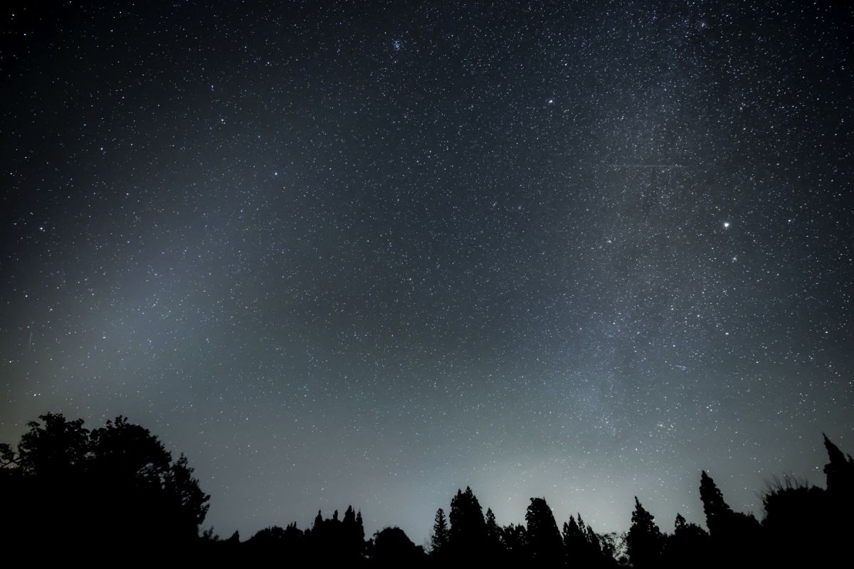 黄道光 2024 | GANREF