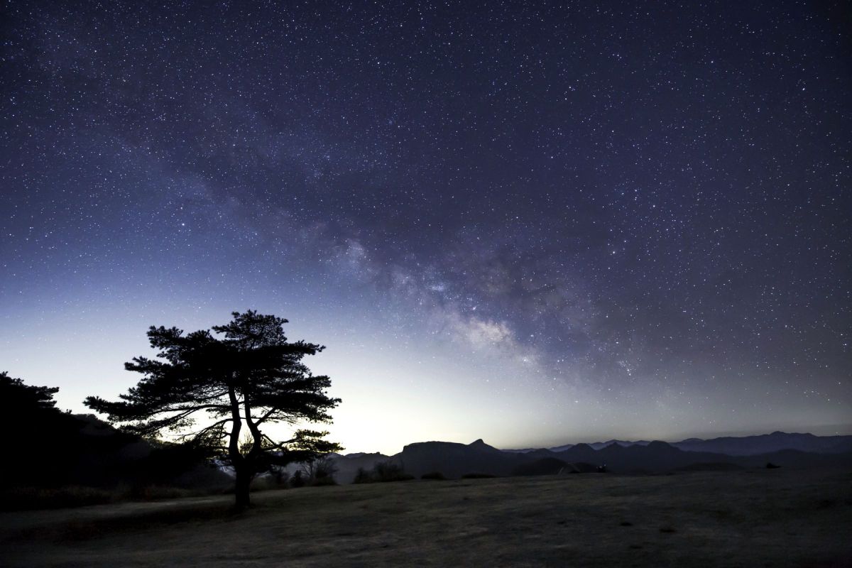 夏星の宙 | GANREF