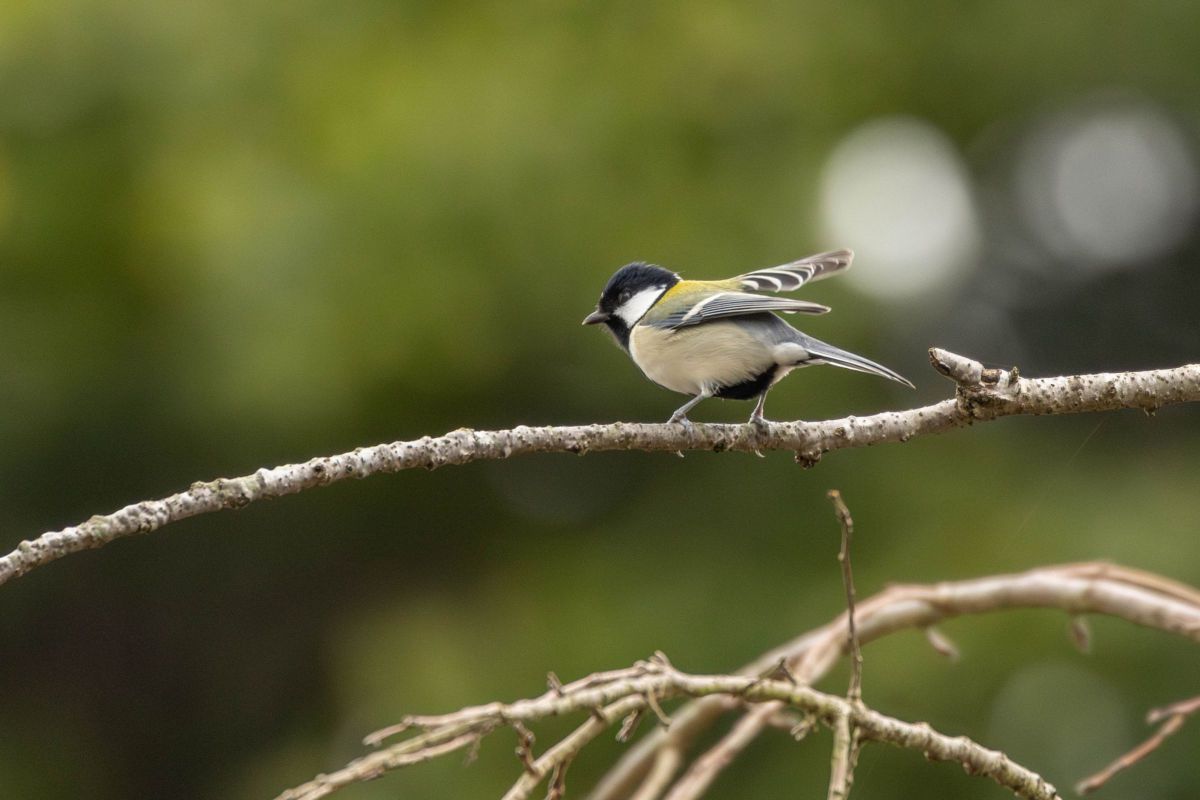 背中も撮ってね | GANREF