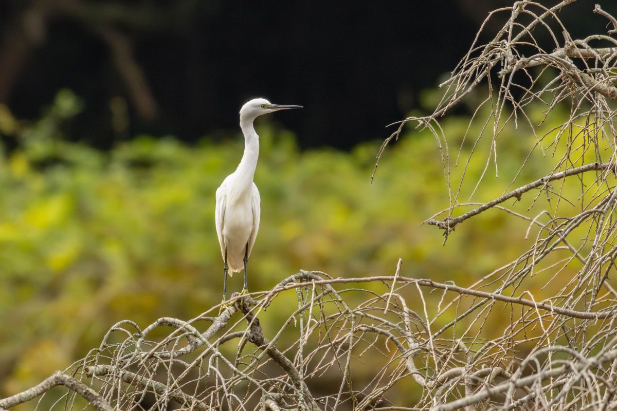 撮って欲しいのかな⁈ | GANREF