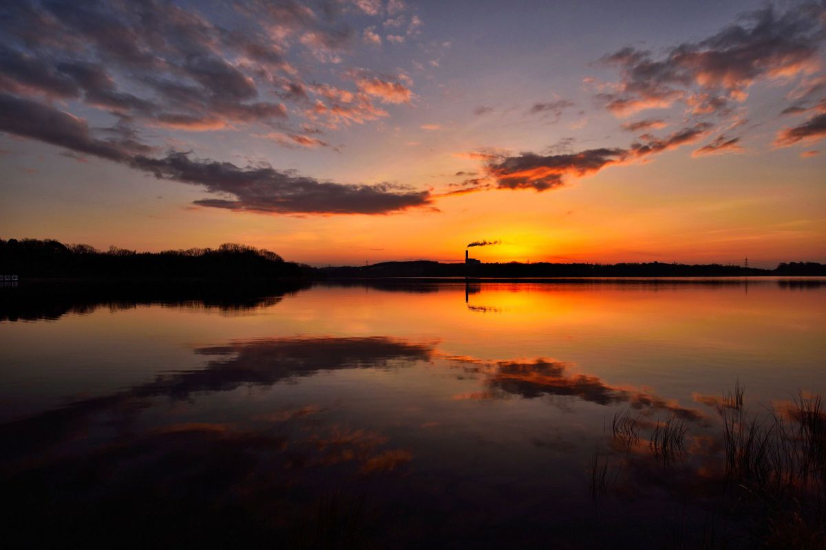 Morning Glow | GANREF