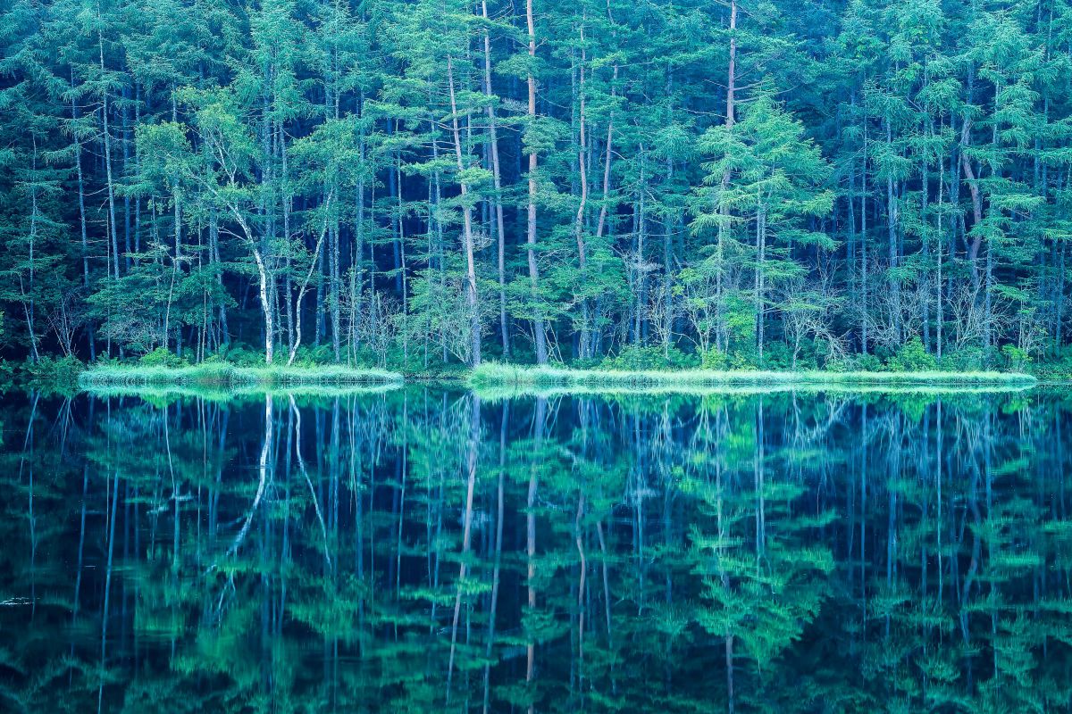 写真展展示作品6 | GANREF